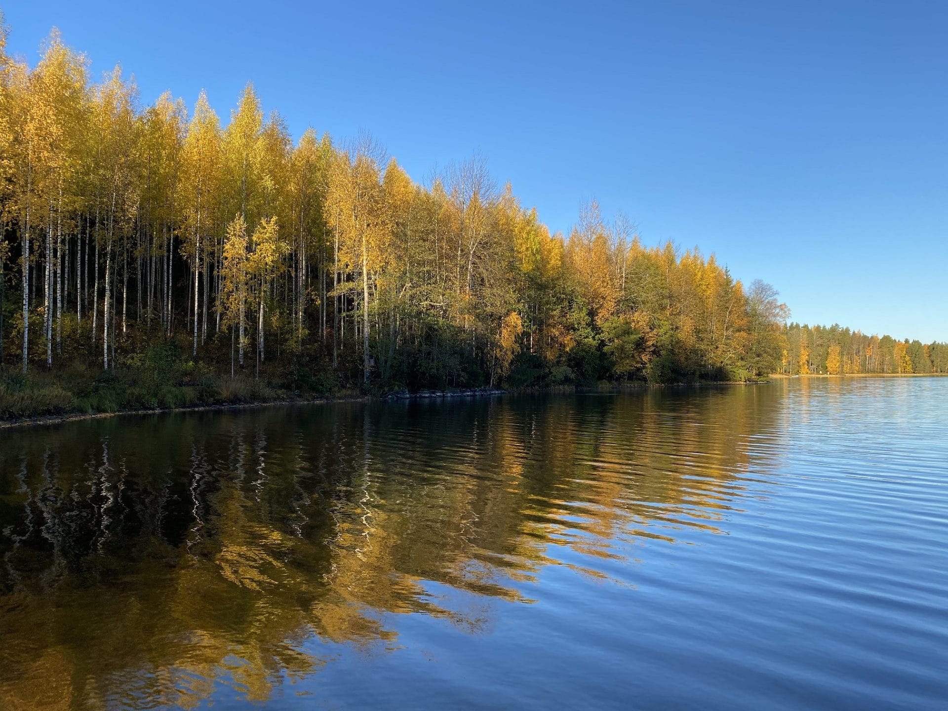 Vain minä. Vain vähän. Vain kerran. - Naturella
